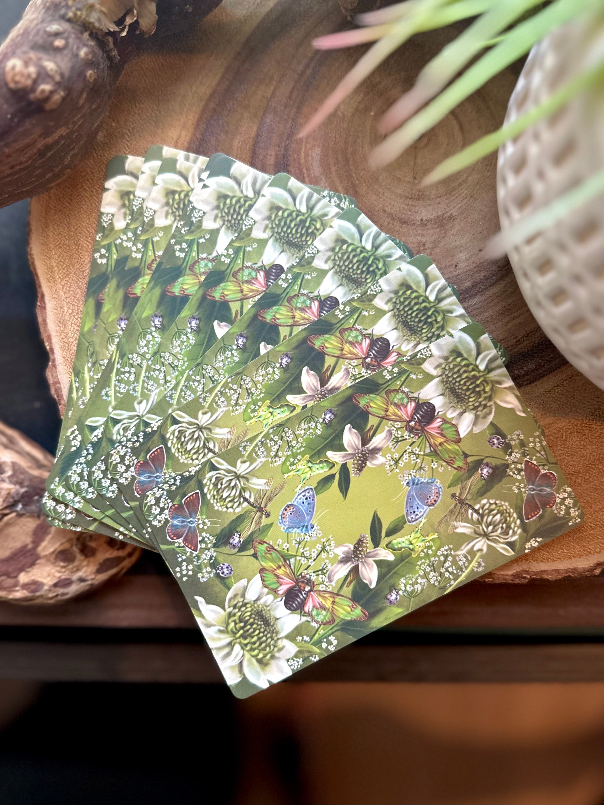 The Animal & Botanical Tarot – The Animal & Botanical Artist