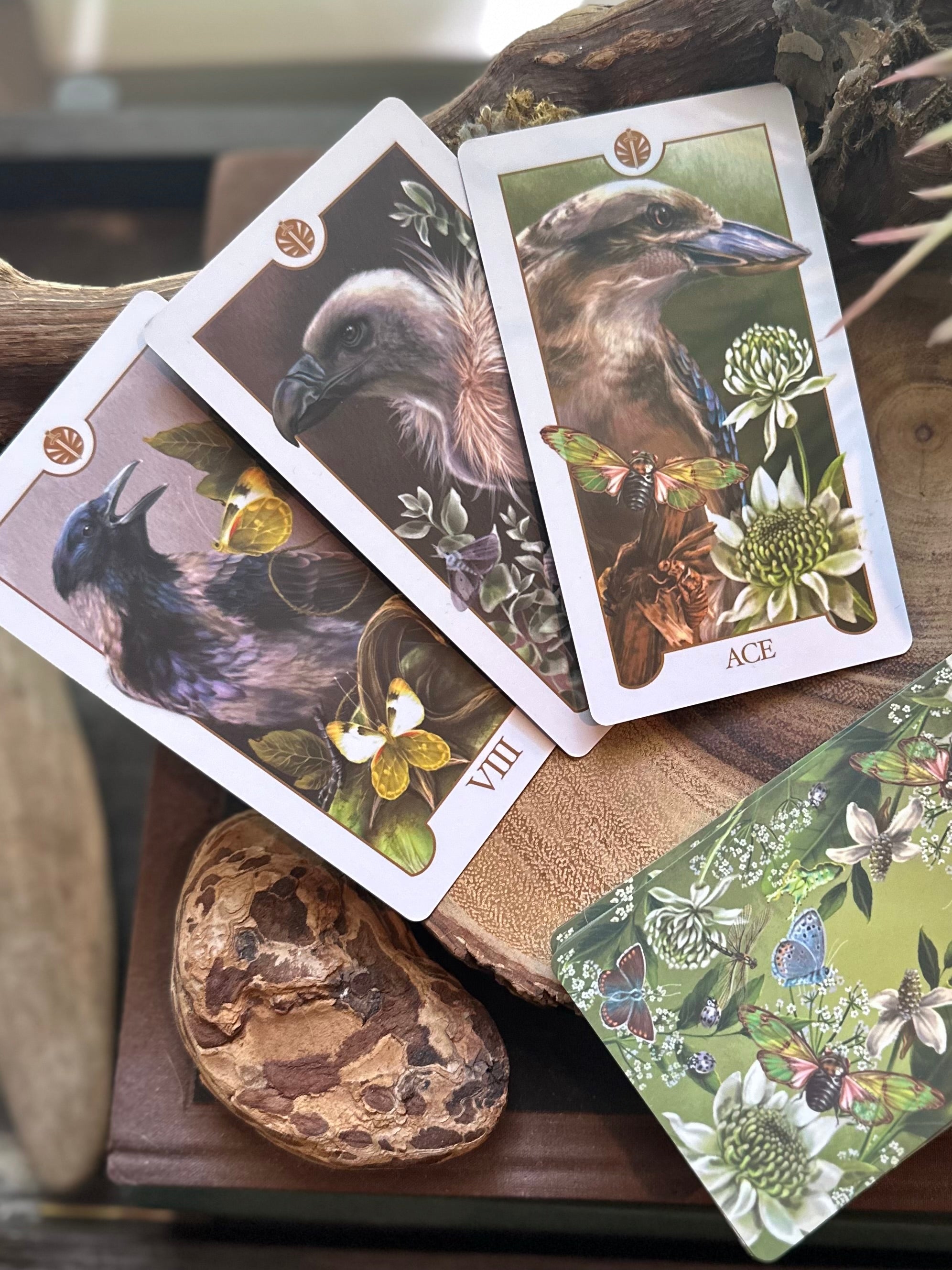 The Animal & Botanical Tarot – The Animal & Botanical Artist