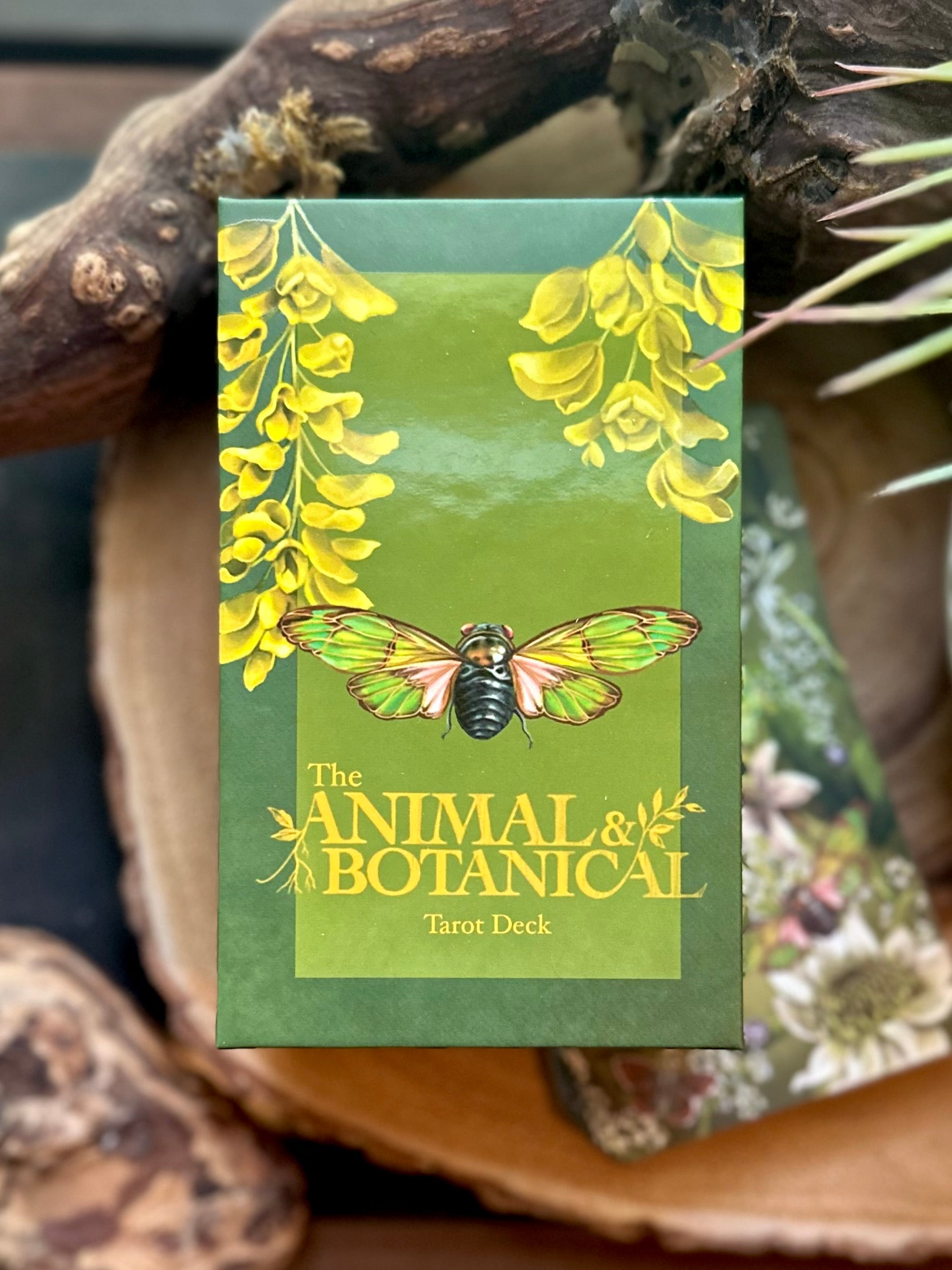 The Animal & Botanical Tarot – The Animal & Botanical Artist