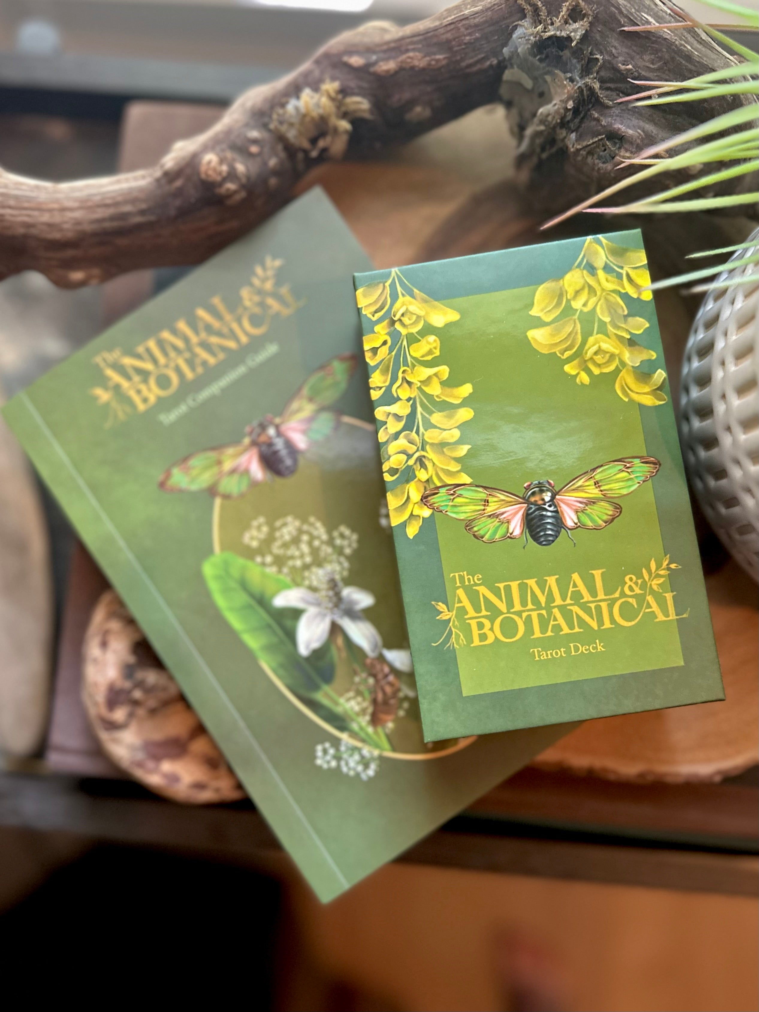 The Animal & Botanical Tarot – The Animal & Botanical Artist