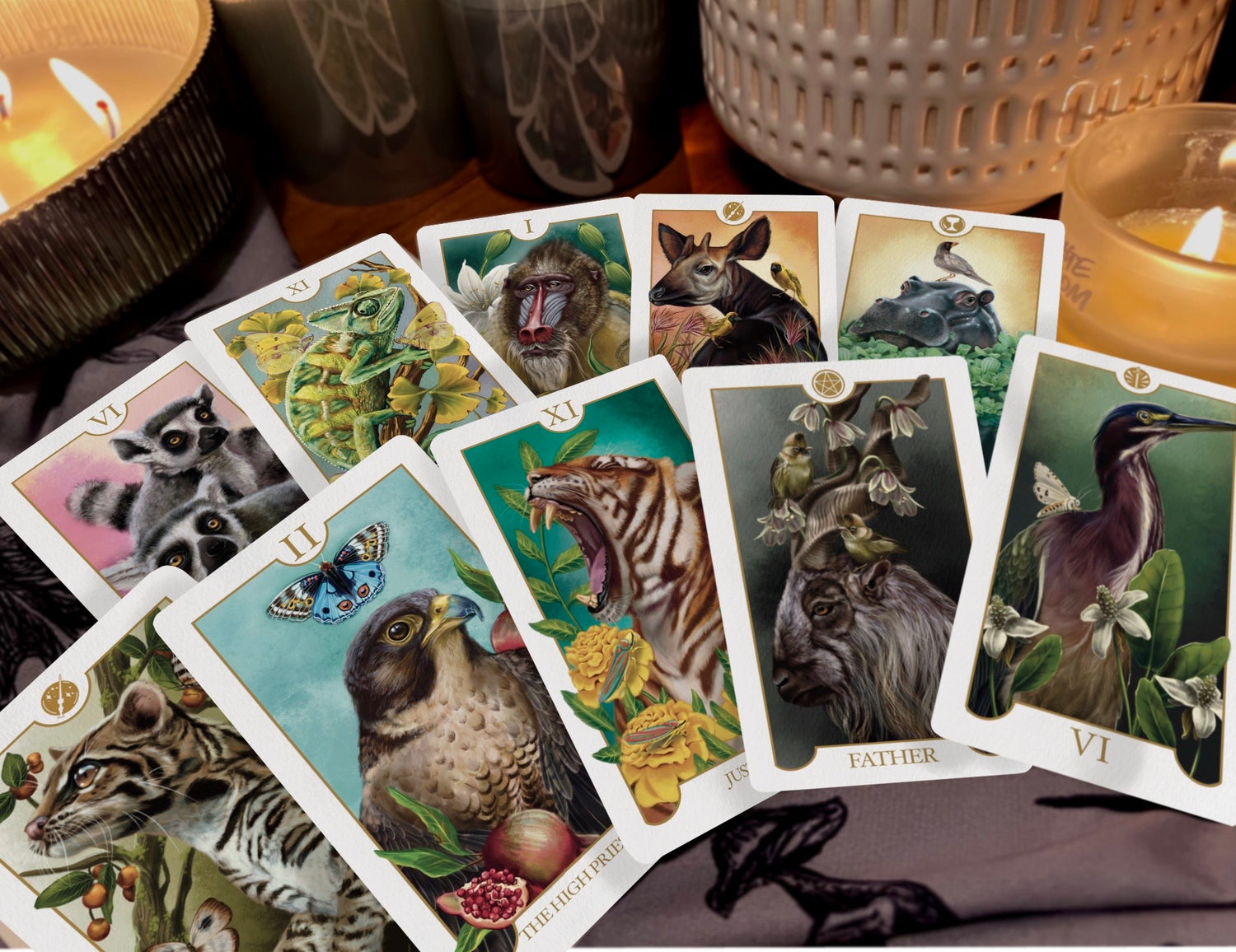 The Animal & Botanical Tarot – The Animal & Botanical Tarot